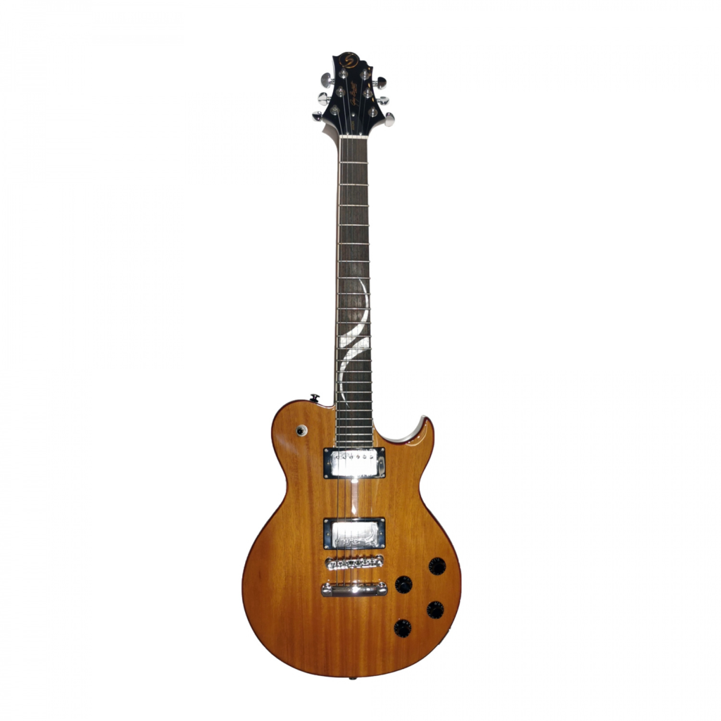 Electric Guitars - ROAR!!! MUSIC Online Store